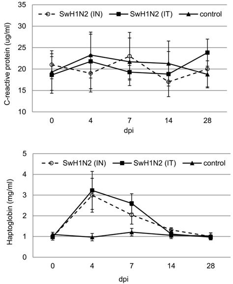 The Mean Concentrations Of Crp And Hp In Serum Of Gilt Before And After