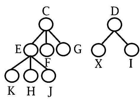 森林的带度数层次序列存储 带度数的层次次序表示怎么恢复树结构 csdn博客
