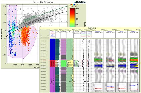 Rokdoc Data Conditioning Ikon Science