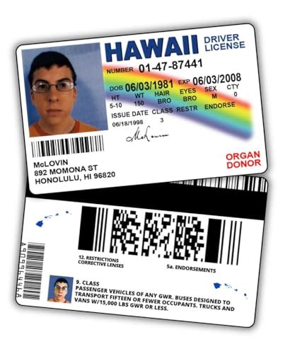 I Tested The Back Of Mclovins Id And You Wont Believe What I Discovered