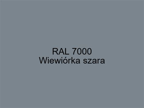 Ral 7000 Wiewiórka Szara Squirrel Grey Ral Classic Paleta Kolorow Ral