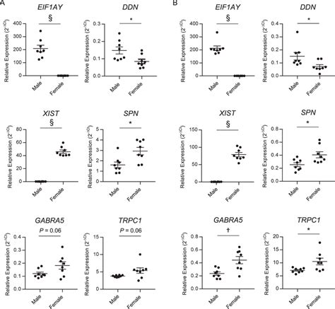 Sex Differences In Non Failing Human Heart Expression Profiles Download Scientific Diagram