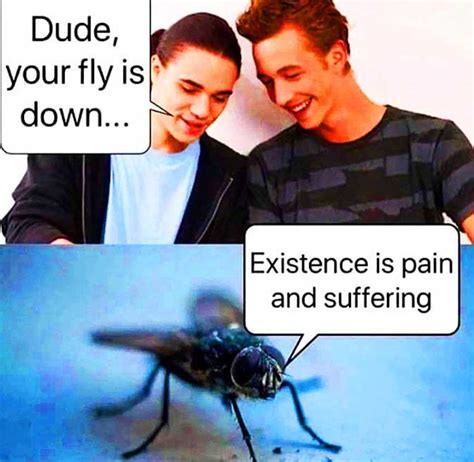 Your Fly Is Down Rmemes
