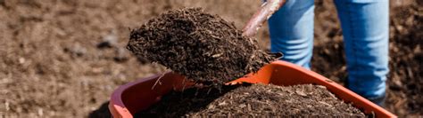 Composting Toilets Waterless Toilet Shop