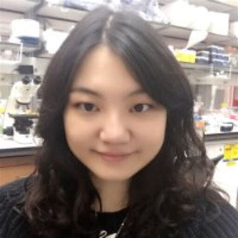 Dora Chi Albert Einstein College Of Medicine Ny Aecom Department