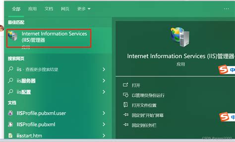 开源 C net mvc 开发三网站内外网访问 VS发布IIS配置网站花生壳外网穿刺访问 c mvc 域名下不可訪問內網 內網下可以訪問域名 CSDN博客