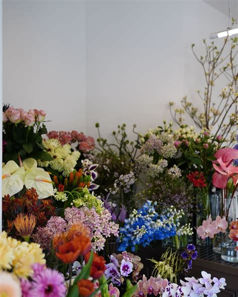 Gui Flower Kamakura Gui Flower Kamakura • Instagram Photos And Videos