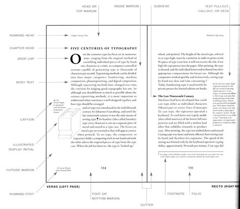 Intro To Typography Cat Normoyle S T H Class Page Layout Terminology