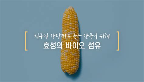 효성의 ‘친환경 섬유 3단 혁신 리사이클→바이오매스→생분해