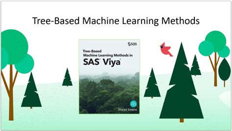 Tree Based Models Are A Popular Approach In Machine Learning Because Of