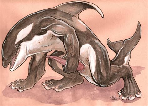 Rule 34 Cetacean Ironfeathers Male Mammal Marine Masturbation Orca