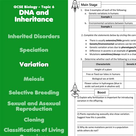 Variation Home Learning Worksheet Gcse Uk