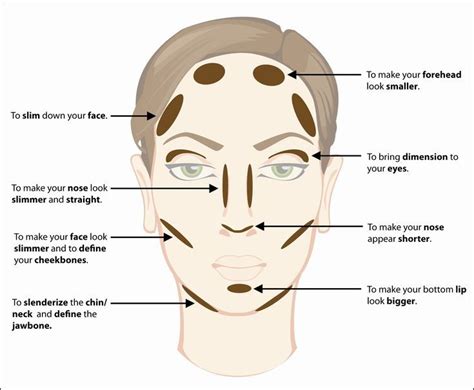 How To Contour Your Face Soft Makeup Looks Contour Makeup