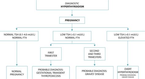 Diagnostic Hyperthyroidism Tsh Thyroid Stimulating Hormone Ft4 Free Download Scientific