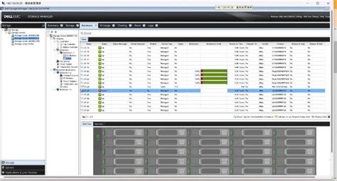 SC Replace Disk But Show Two Same Disk Name DELL Technologies