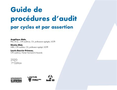 Guide De Procédures Daudit Par Cycles Et Assertions Guide De