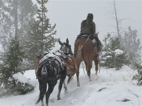 Bitterroot Outfitters Llc Challis Id