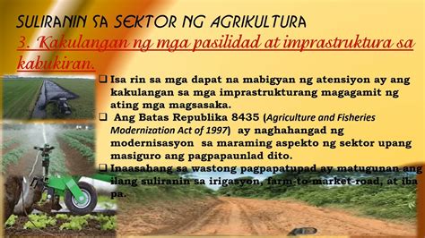 Ano Ang Mga Dahilan At Epekto Ng Mga Suliranin Sa Sektor Ng Agrikultura My Xxx Hot Girl