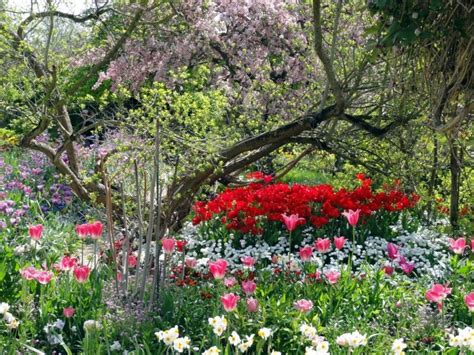 კლოდ მონეს სამოთხის ბაღი ჟივერნიში პარიზის მახლობლად At