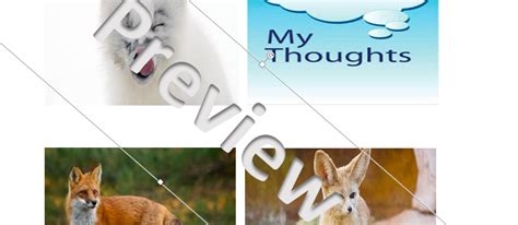 Evolution And Inheritance Science Lesson Five Adaptation Teaching Resources