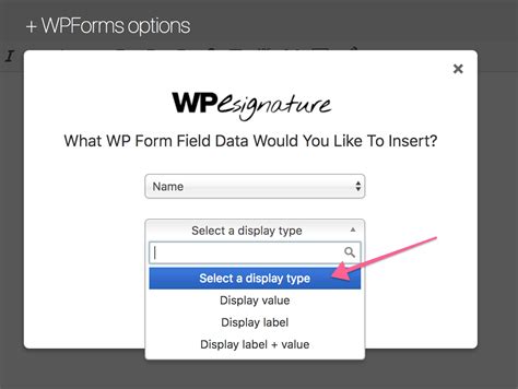 How To Set Up Wpforms And Wp E Signature Wp E Signature Support And Documentation By Approveme