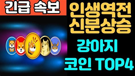밈코인 추천 인생역전 신분상승 할 수 있는 강아지코인 Top4 추천 Youtube