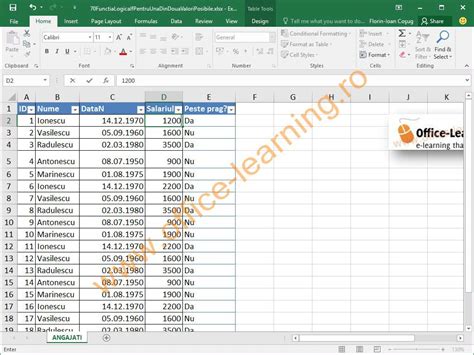 Microsoft Excel Capitolul 7 Formule Si Functii It Learning