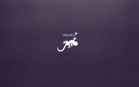 Get Old Ubuntu Wallpapers Easily In Current Ubuntu Linux Mint Pc Fostips