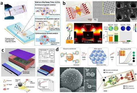 Examples Of Integrated Microfluidic Analysis Of Exosomes Towards Liquid Download Scientific