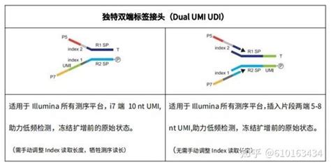 Illumina测序接头类型 知乎