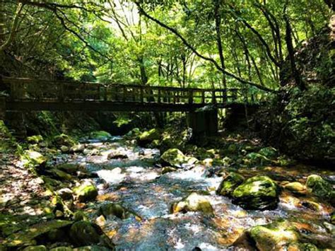 薬師谷渓谷そうめん流し 愛媛 宇和島市 雄大な景色の中で味わう夏の味覚 イマナニ