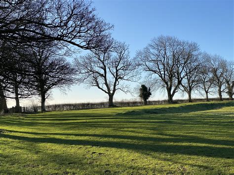 Trees Shadows Free Photo On Pixabay Pixabay Trees Shadows Free Photo On Pixabay Pixabay