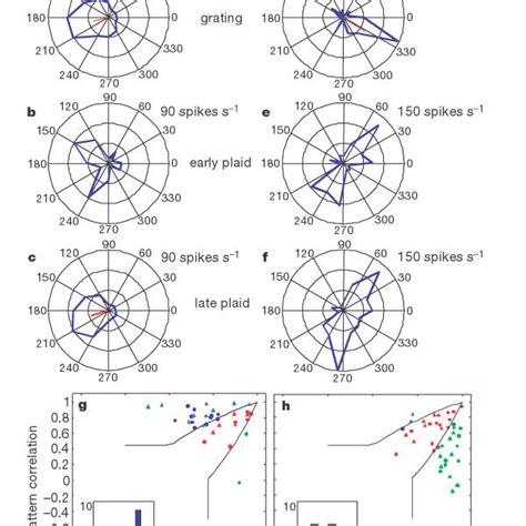 The Importance Of Recurrent Processing In Visual Perception This Download Scientific Diagram