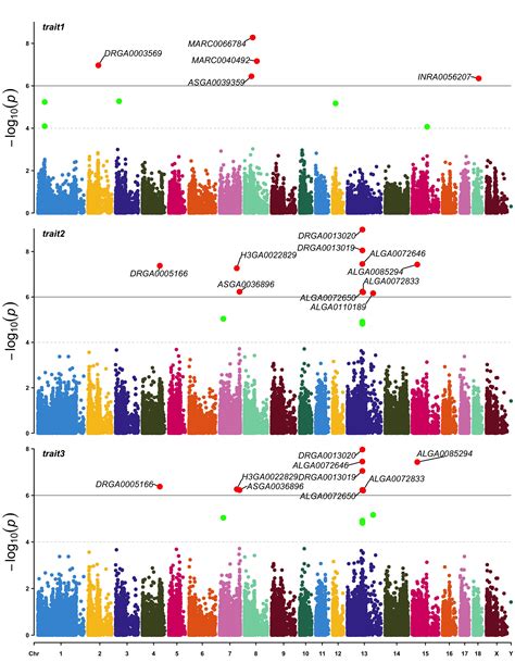 Github Yinlilincmplot 📊 Circular And Rectangular Manhattan Plot