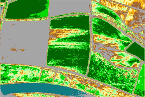 Introduction To Remote Sensing Of Biomass Intechopen