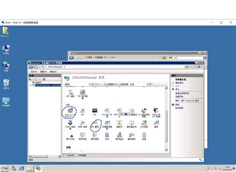 IIS反向代理Google Fantasy Land