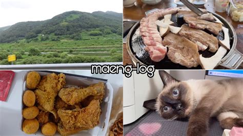 Vlog 여름휴가2편여름휴가시골직장인아침운동 직장인브이로그맥주막걸리소고기오겹살먹방 Youtube