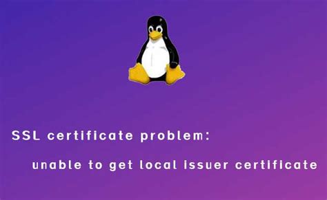 Ssl Certificate Problem Unable To Get Local Issuer Certificate解决方法 云梦编程网