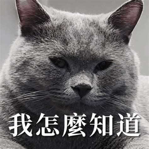 傻眼 