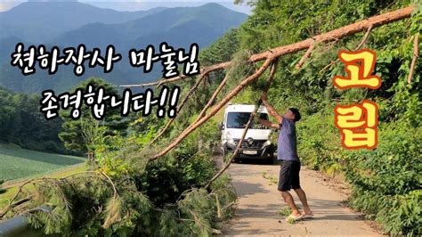 슈퍼 히어로 마눌님이 쓰러진 나무를 번쩍들어올려서 고립 해제~태백산소도야영장 여름휴가캠핑 Youtube