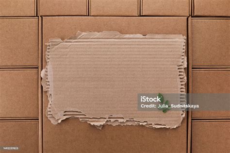 에코 제로 웨이스트 플라스틱 프리 컨셉으로 골판지 상자 배경에 녹색 잎이 있는 만화 종이 공백이 있다 개념에 대한 스톡 사진 및 기타 이미지 Istock