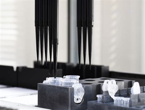 PCR Results BQ Support