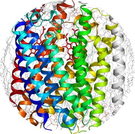 Camp Collection Of Anti Microbial Peptides