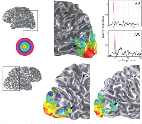 Figure From Visual Field Map Clusters In Human Cortex Semantic Scholar
