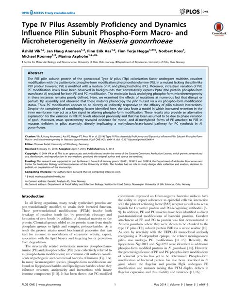 Pdf Type Iv Pilus Assembly Proficiency And Dynamics Influence Pilin