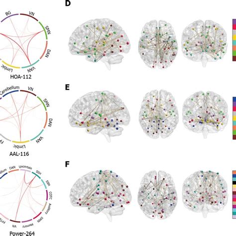 Functional Connections Predicting Individual Montreal Cognitive