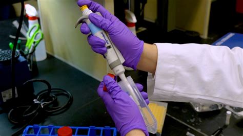 Video Flow Cytometry Based Quantification And Analysis Of Myocardial B Cells