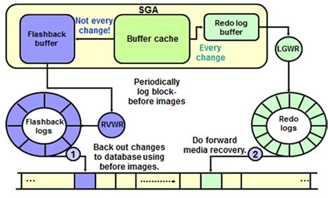 Oracle闪回技术指南：闪回数据库、表与事务 墨天轮