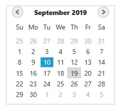 Appearance In WPF Calendar Control Syncfusion