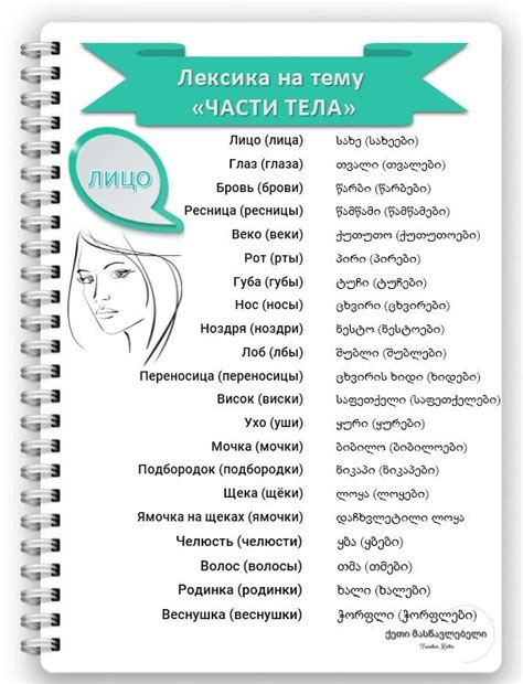 ქეთი მასწავლებელი ადამიანის სხეულის ნაწილები ЧАСТИ ТЕЛА ЧЕЛОВЕКА In 2024